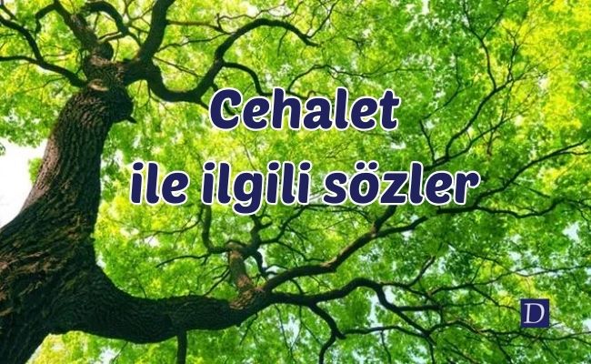 Cehalet ile ilgili sözler - Dostsözler